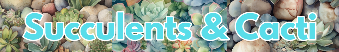 Succulents & Cacti