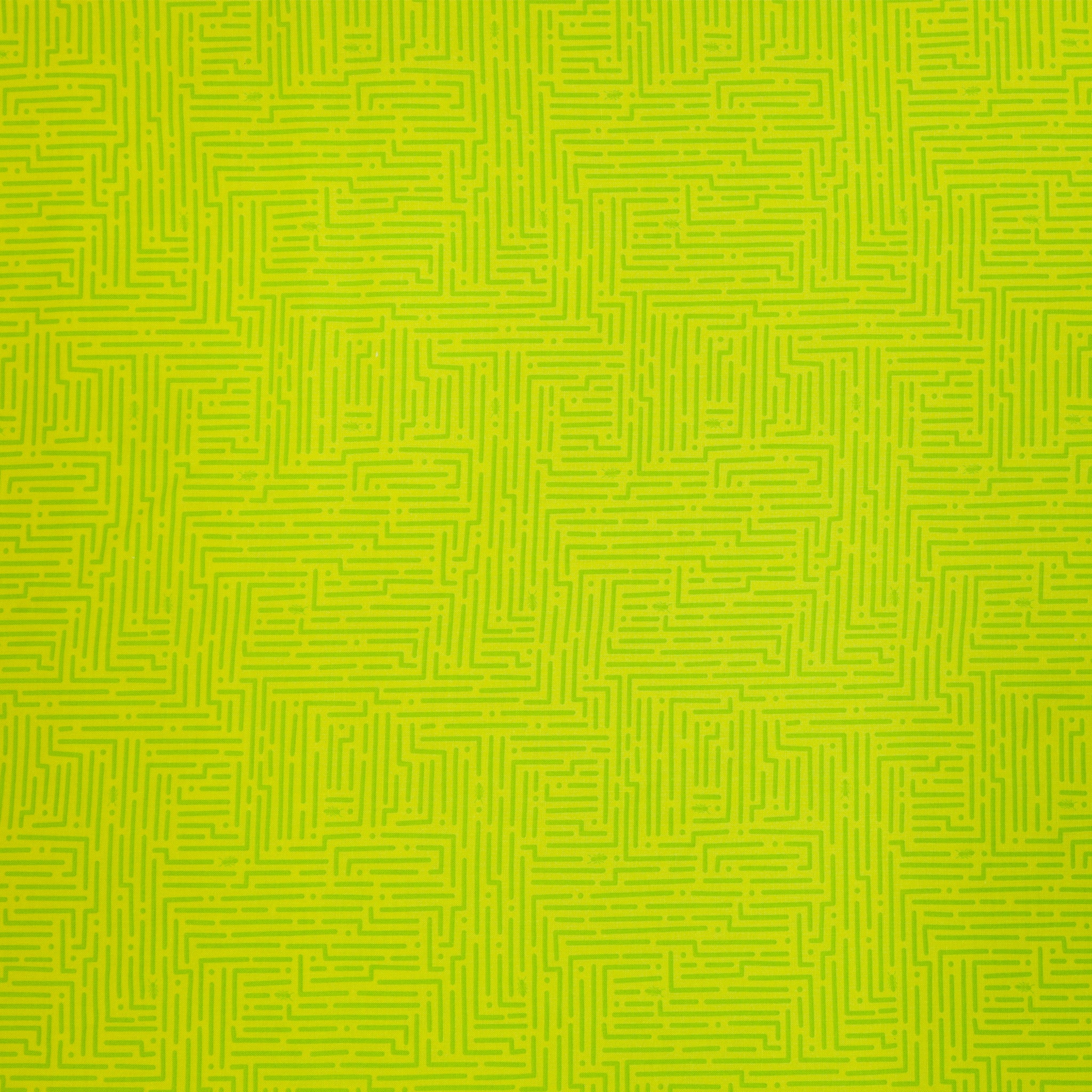 Lucky Bugs Fabric Collection - Mazing Lime/Green