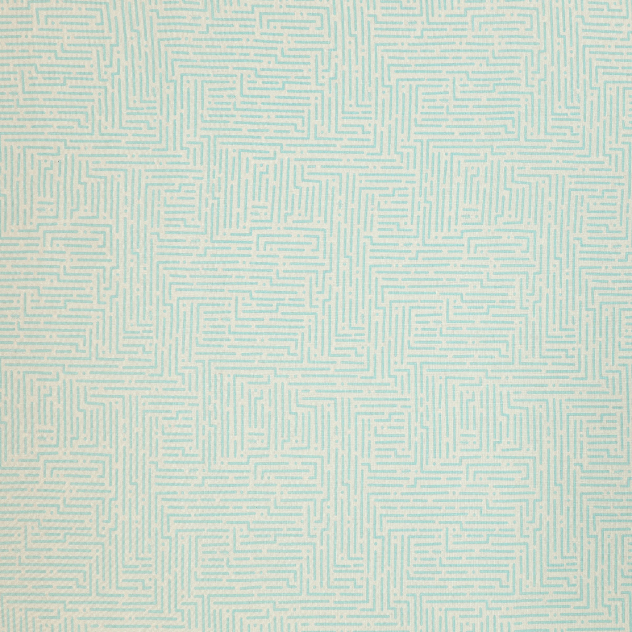 Lucky Bugs Fabric Collection - Mazing Sky/White