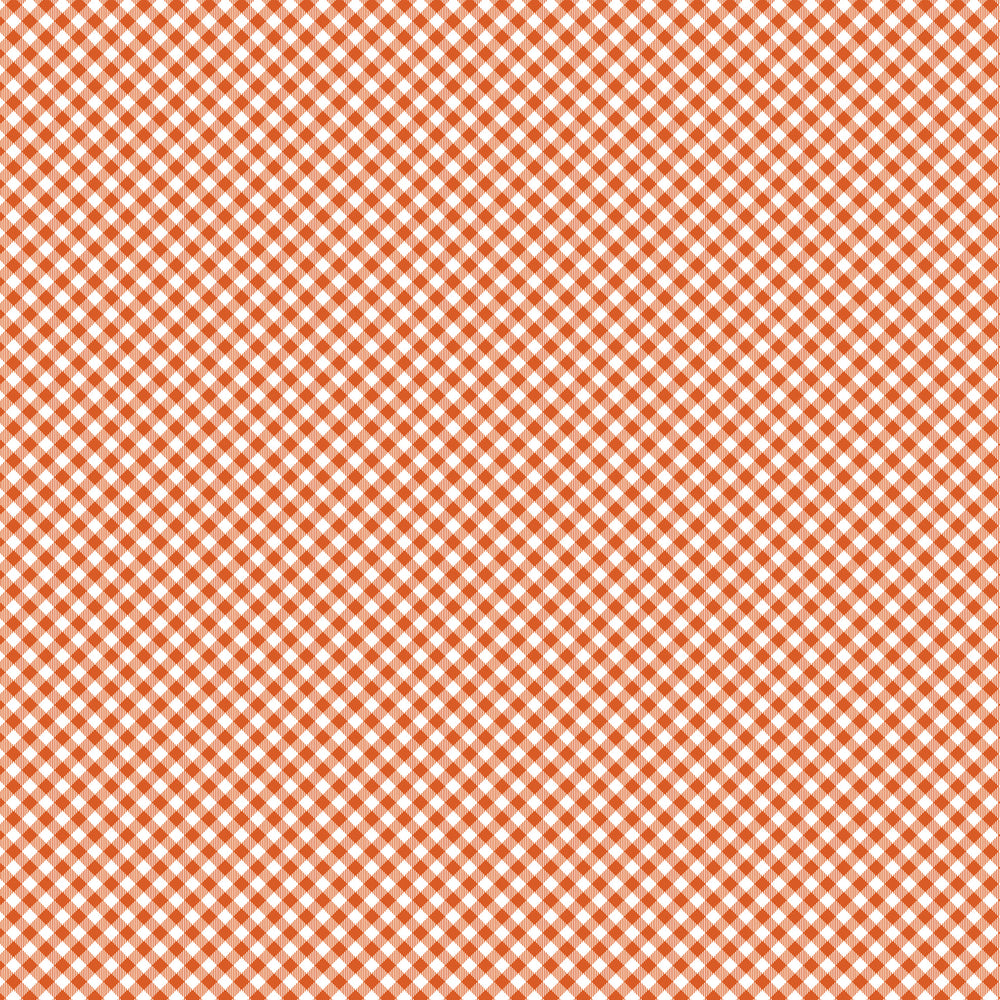 Seasonal Basics Fabric Collection - Gingham Orange