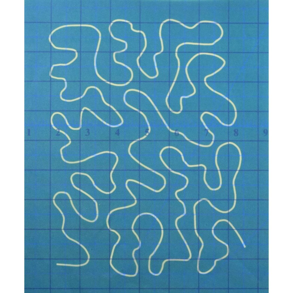 Hancy Free Motion Quilt Stencil