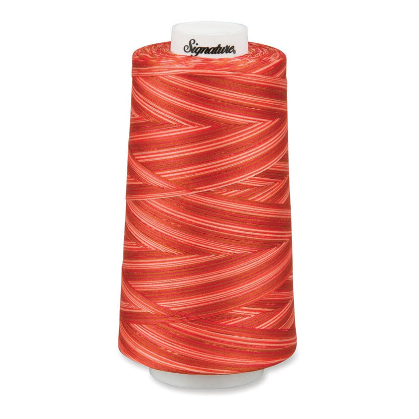 Signature Variegated Quilting Thread, 3000yds