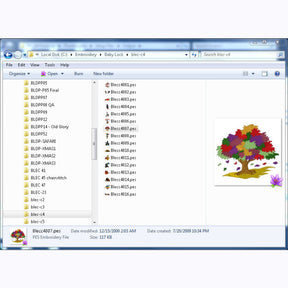 Embrilliance Thumbnailer Embroidery Software