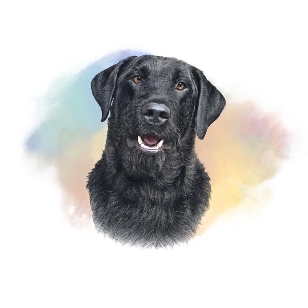 Scruffy Black Labrador Retriever Portrait Fabric Panel