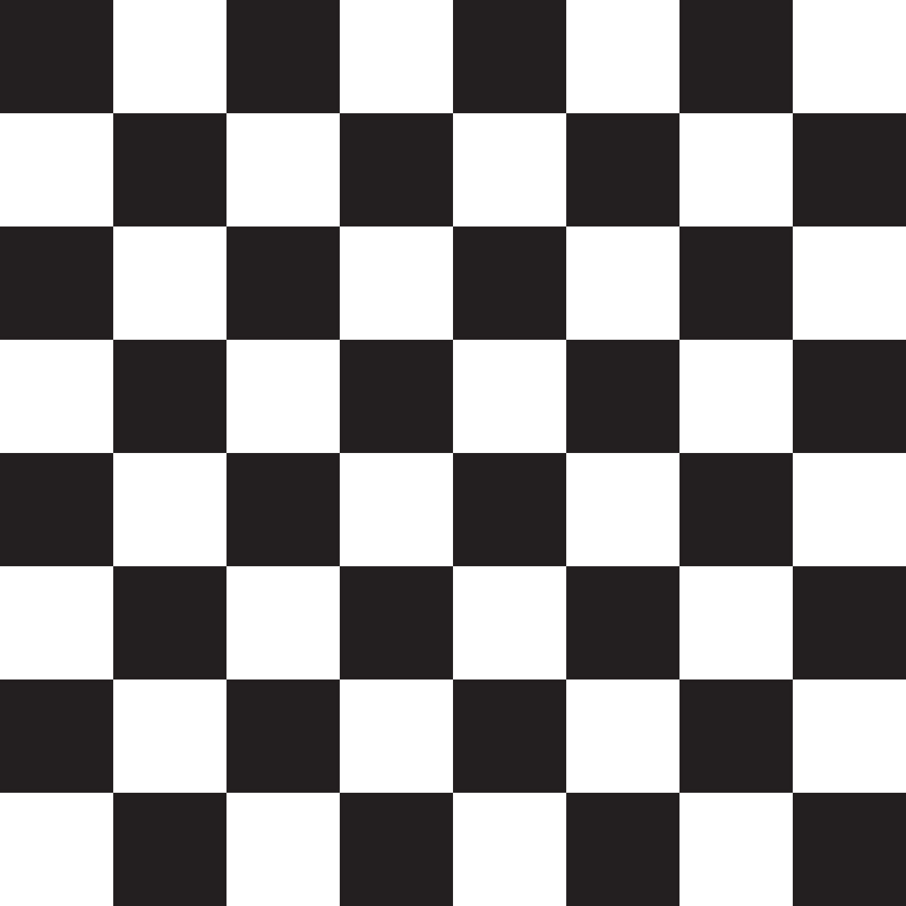 Checkered Basics Fabric - Black