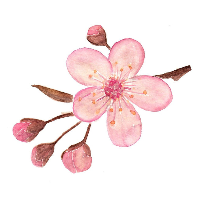 Cherry Blossom Fabric Panel