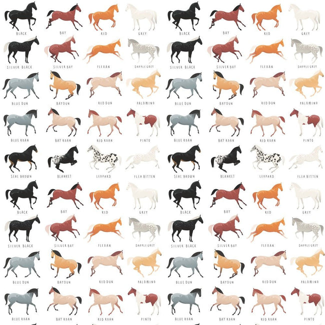 Horse Coat Colors Fabric