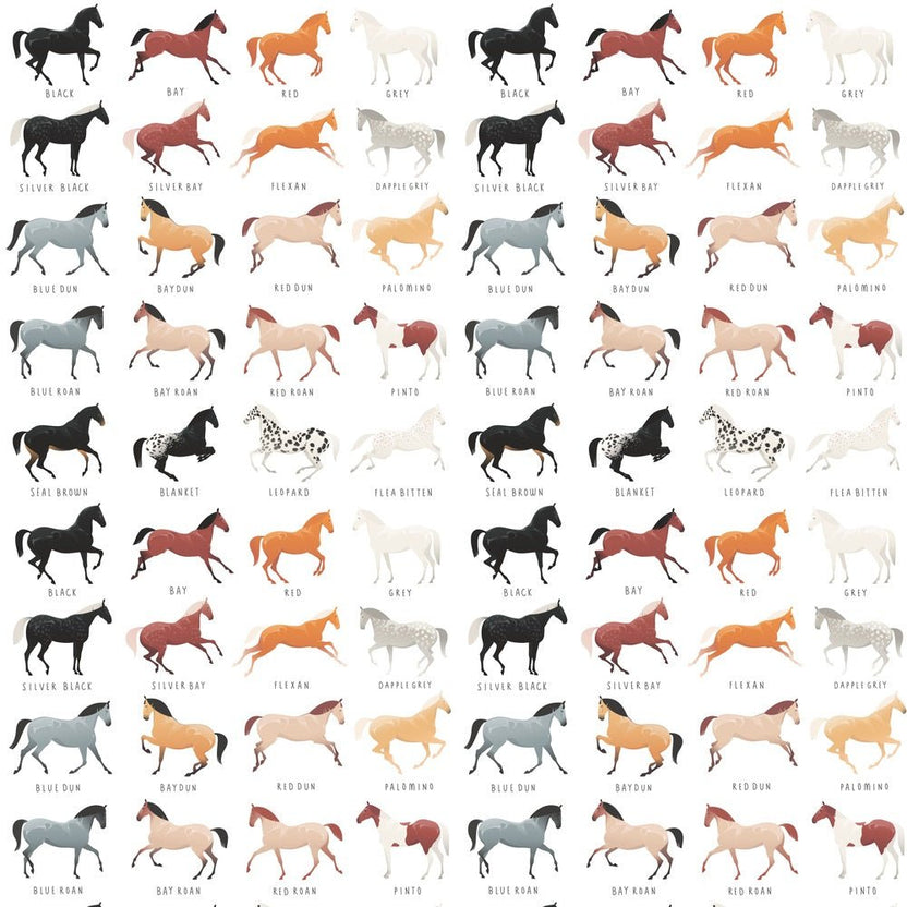 Horse Coat Colors Fabric