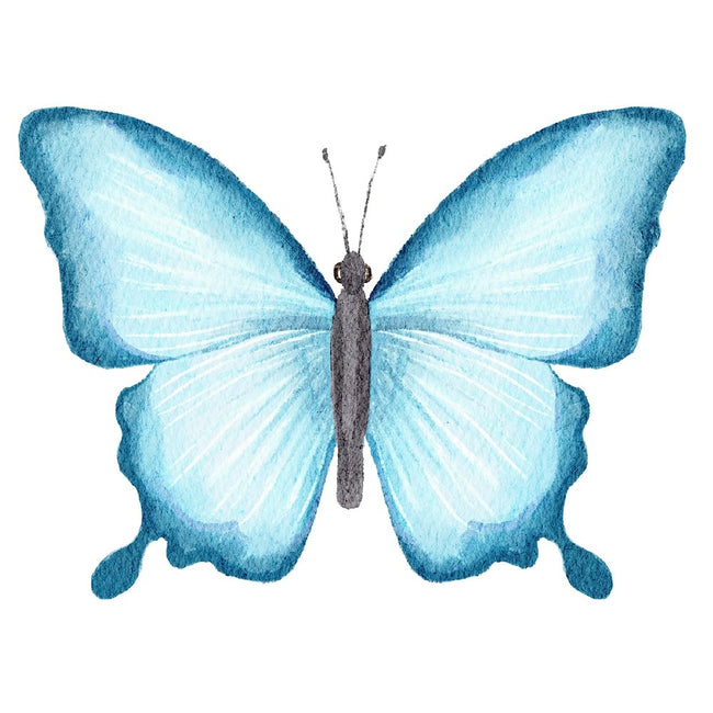 Little Critters Summer Fun Blue Butterfly Fabric Panel