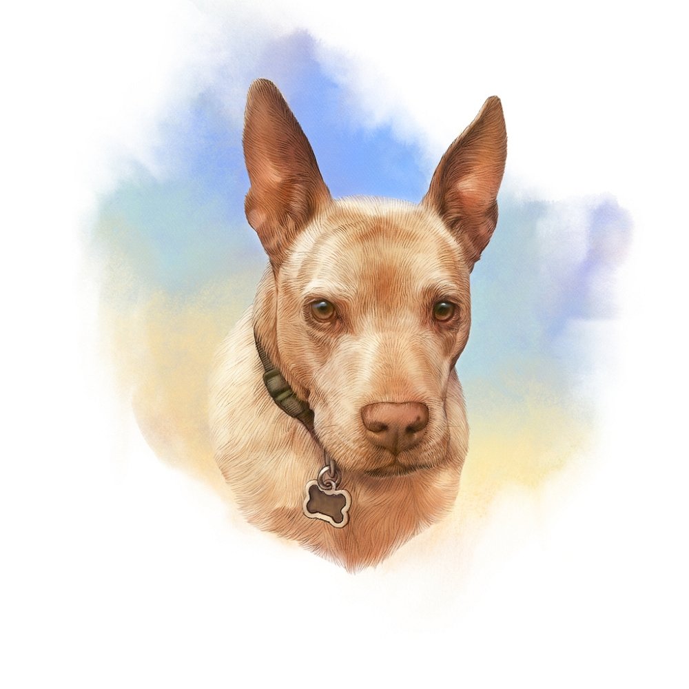Long-Eared Red Dog Portrait Fabric Panel