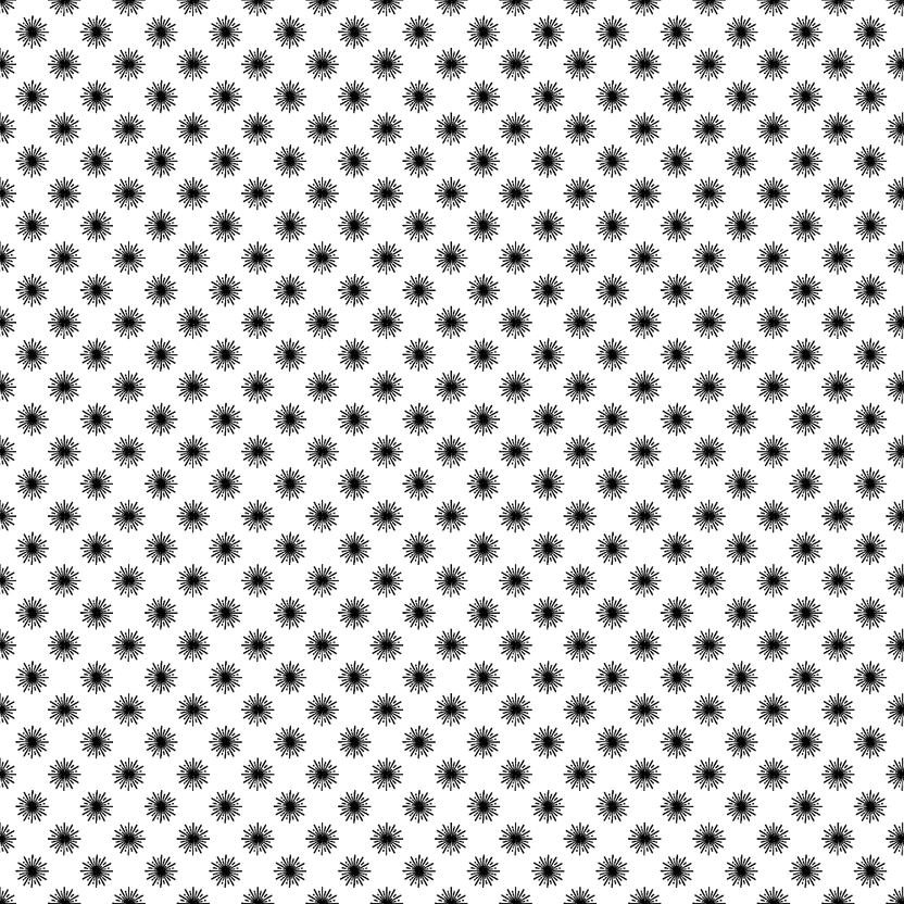 Monochrome Bursts Fabric