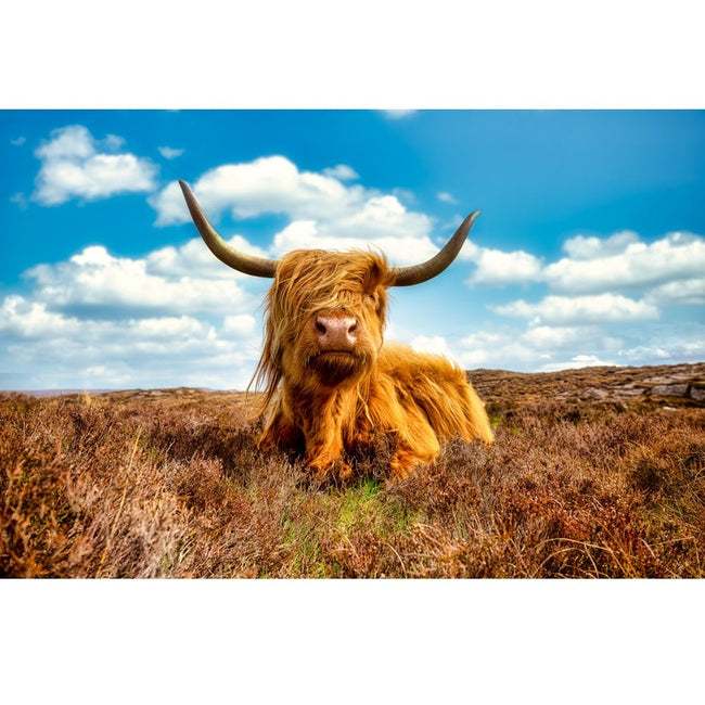 Realistic Highland Cow in the Highlands Fabric Panel