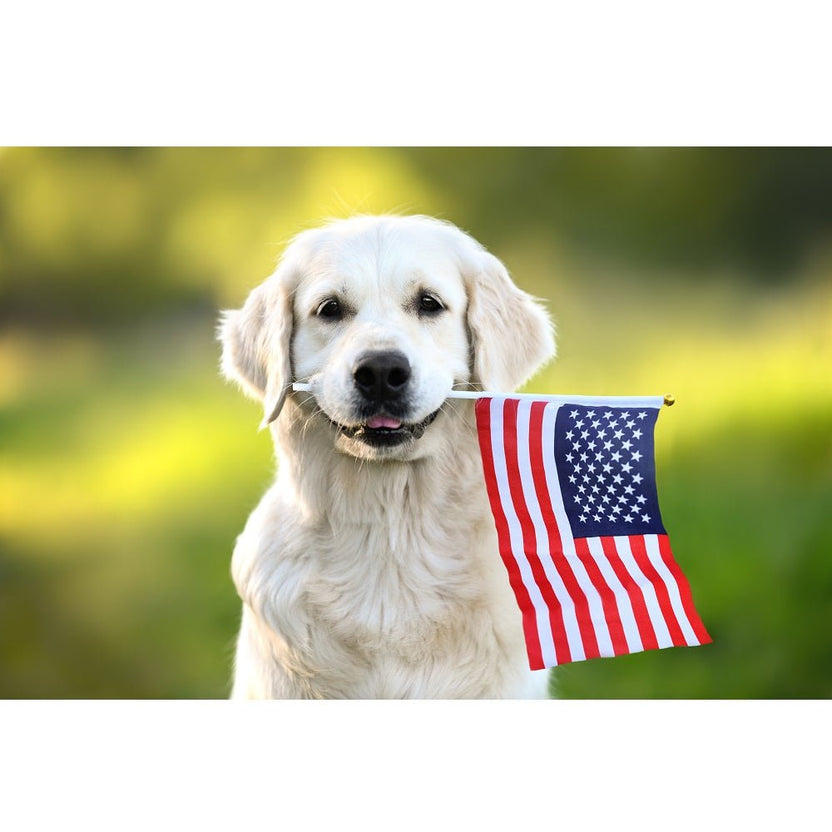 Realistic Patriotic Golden Retriever Fabric Panel