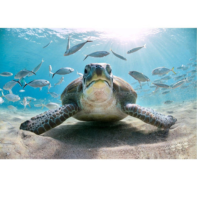 Realistic Sea Turtle Fabric Panel