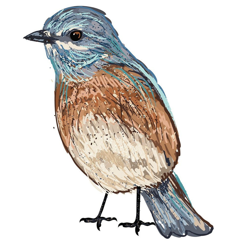 Sketched Eastern Bluebird Fabric Panel