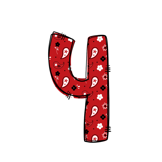 Western Cowboy ''4'' Paisley Fabric Panel