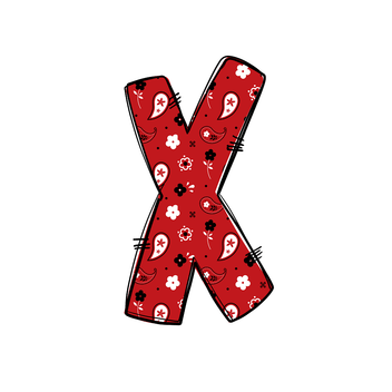 Western Cowboy ''X'' Paisley Fabric Panel